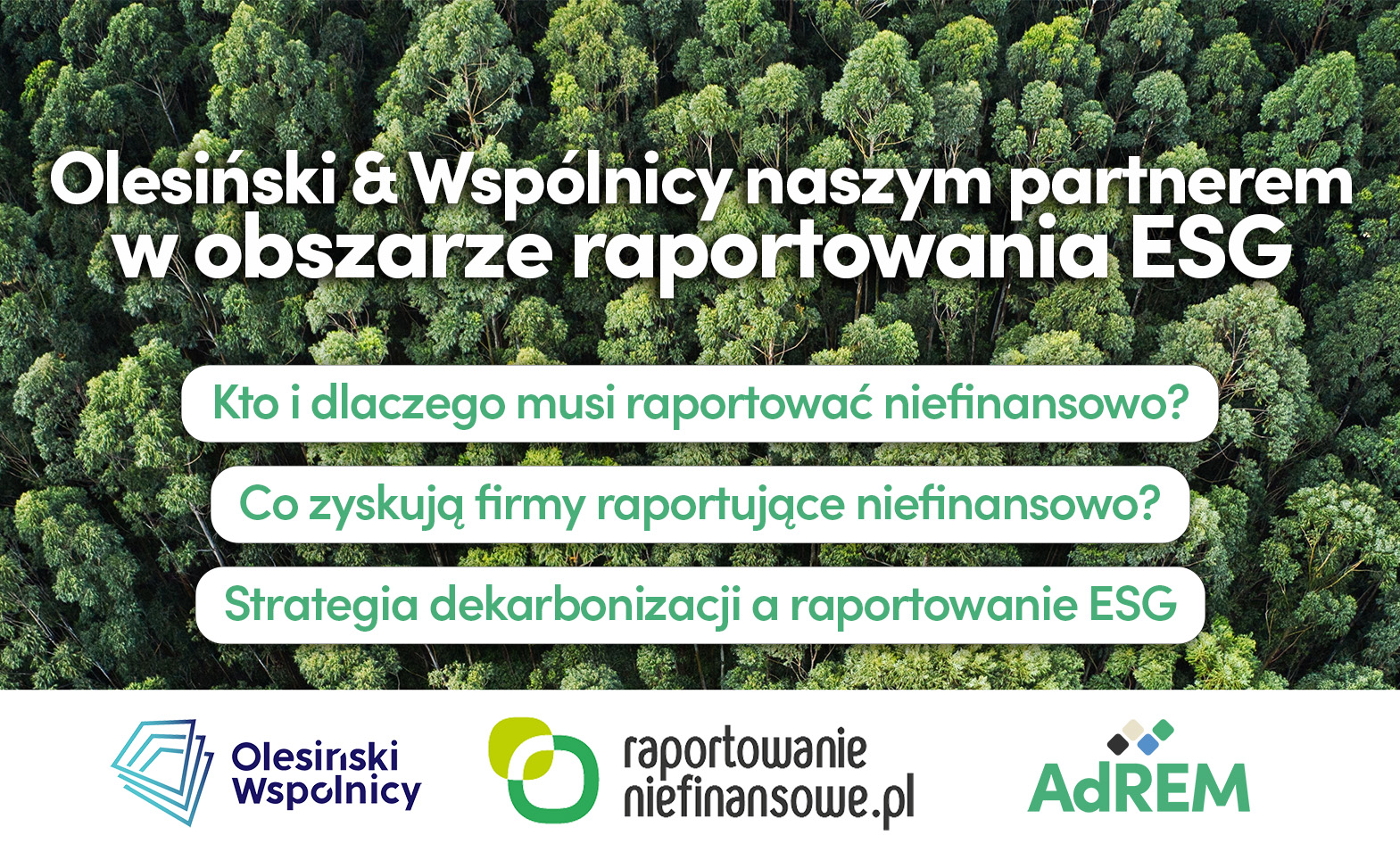 Strategia dekarbonizacji jako element raportowania niefinansowego - AdREM - Lepszy biznes ...